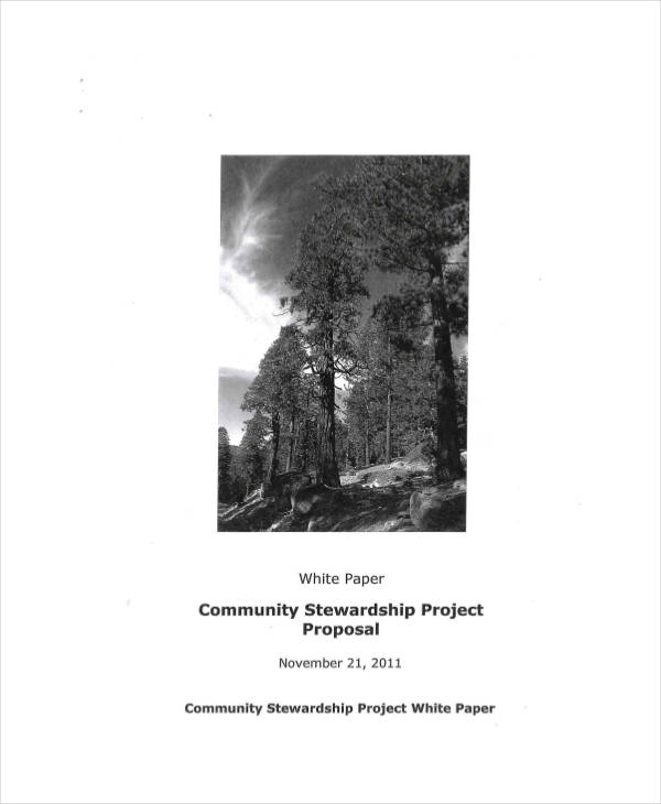 18+ Community Project Proposal Templates, PDF, Word