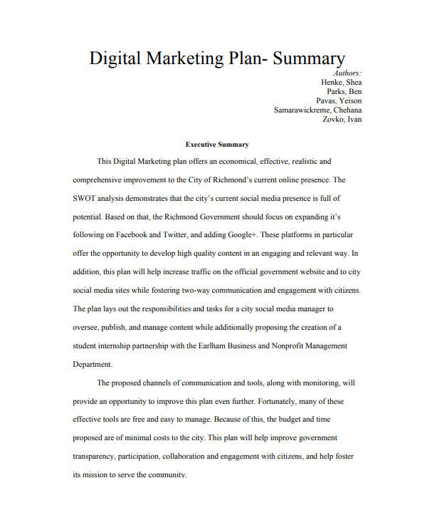 7 Executive Summary Marketing Plan Templates PDF Word