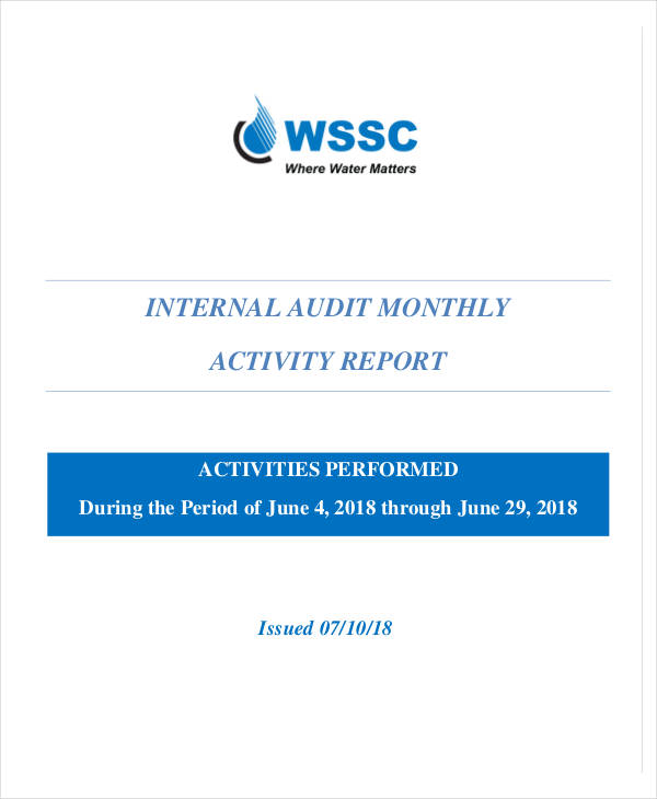 11+ Monthly Audit Report Templates - PDF