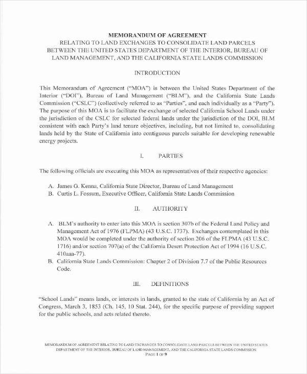 11+ Formal Memorandum of Agreement Templates - PDF