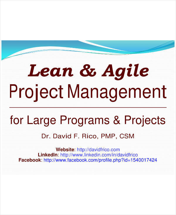 8 Agile Project Plan Template And Samples PDF Word