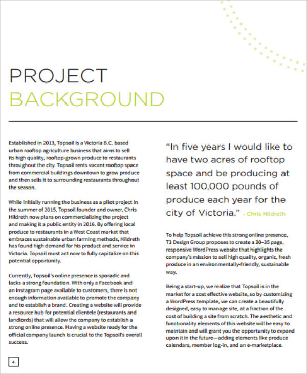 13+ Website Project Proposal Templates - PDF, Word, Pages