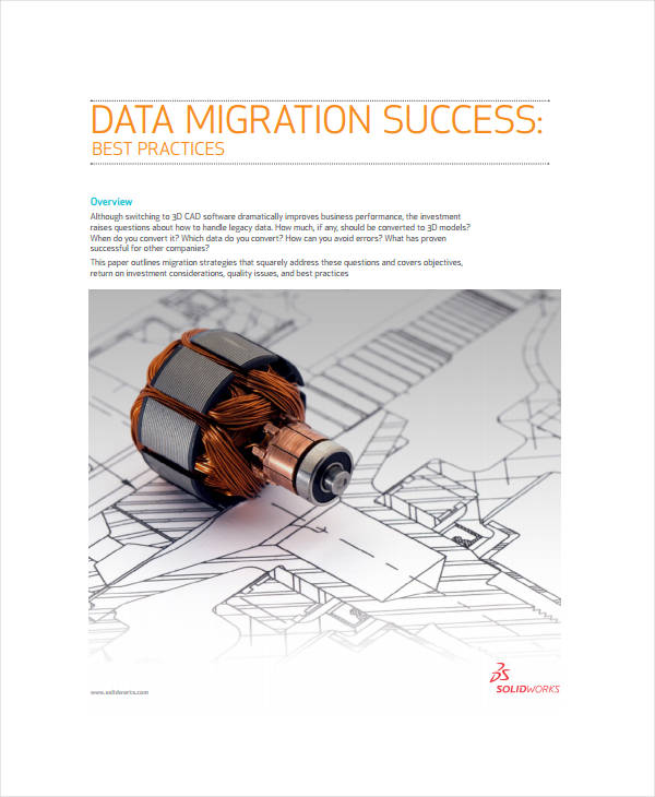 4+ Migration Project Plan Templates - PDF