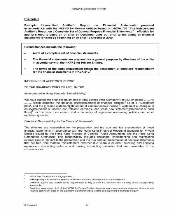6+ Daily Audit Report Templates - PDF, DOC, Word, Pages