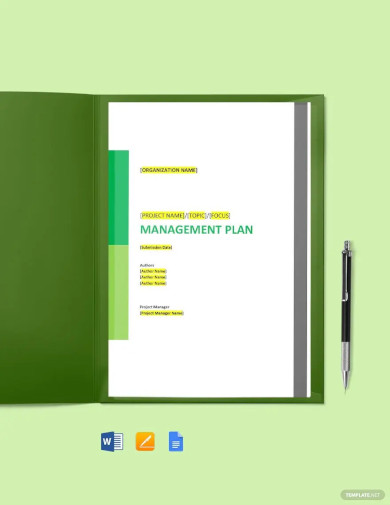 12+ Asset Management Plan Templates - PDF, Word