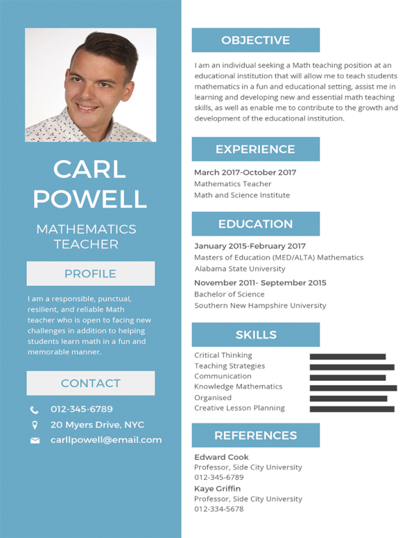 12+ Formal Curriculum Vitae - Free Sample, Example Format Download