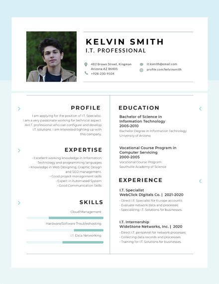 35+ Experienced Resume Format Templates - PDF, DOC