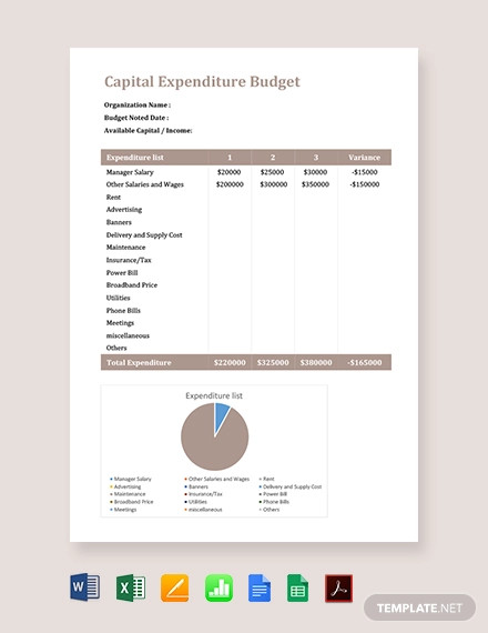 8+ Capital Expenditure Budget Templates - Docs, PDF, Excel