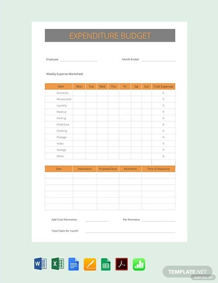 11+ Expenditure Budget Templates -Word, PDF, Excel | Free & Premium ...