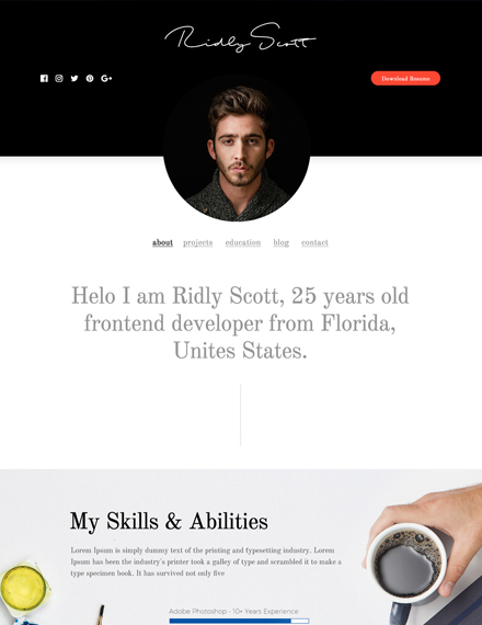 8+ Portfolio Resume Templates