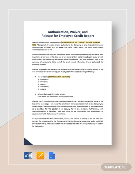 Credit Report Template - 17+ Free PDF, Excel, Word Documents Download