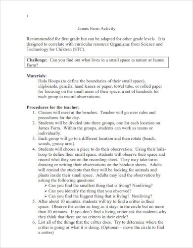 10+ Lesson Plan Templates for 1st Grade - PDF
