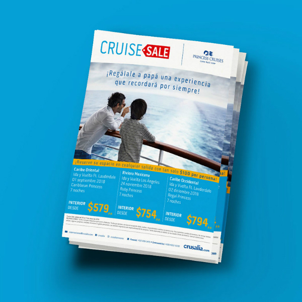 How to Make/Create a Cruise Ship Flyer [Templates + Examples] 2023