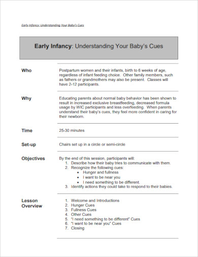 13+ Best Infant Lesson Plan Templates - PDF