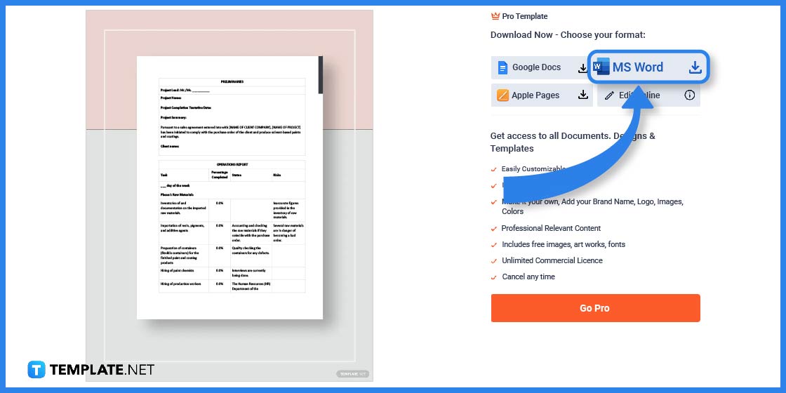 How to Make/Create an Operations Report [Templates + Examples] 2023
