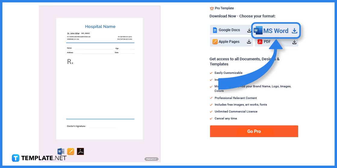 How to Make/Create a Blank Prescription [Templates + Examples] 2023 ...