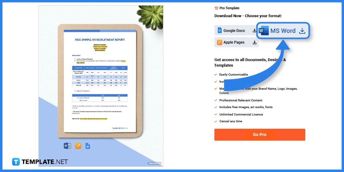 How to Make/Create a Recruitment Report [Templates + Examples] 2023