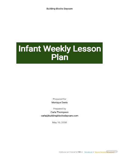 13+ Best Infant Lesson Plan Templates - PDF
