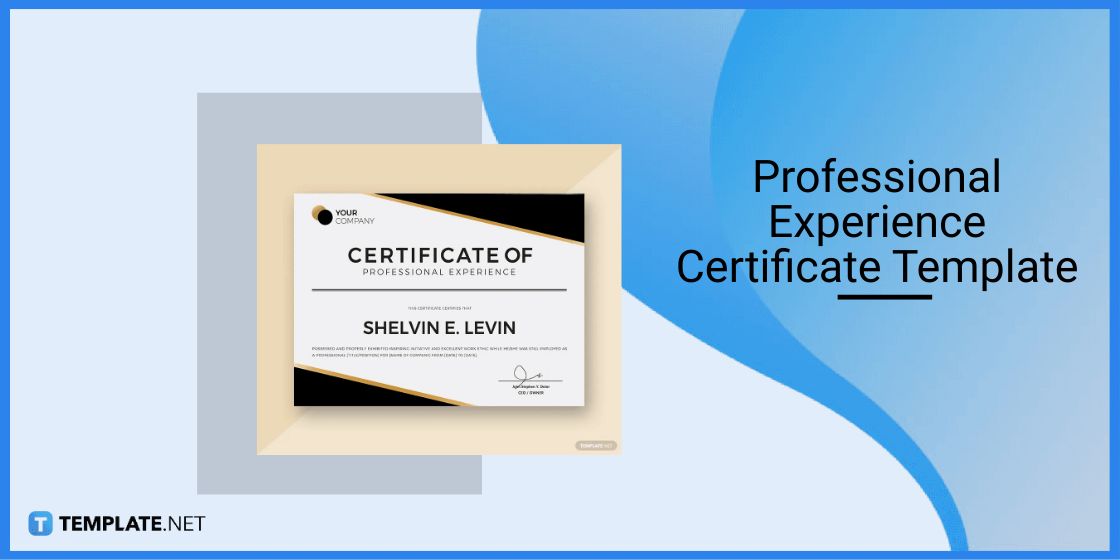 How to Make/Create an Experience Certificate [Templates + Examples] 2023