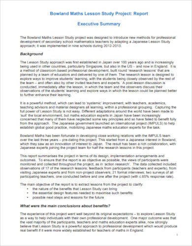 5+ Best Lesson Report Templates - PDF