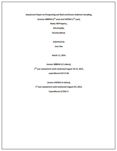 5+ Assessment Report Templates - Google Docs, MS Word, Pages