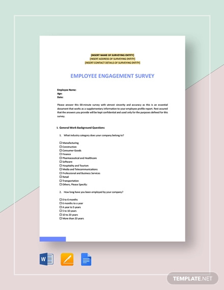 20+ Employee Survey Templates & Samples - DOC, PDF