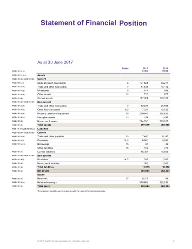 11+ Non Profit Financial Statement Templates in PDF