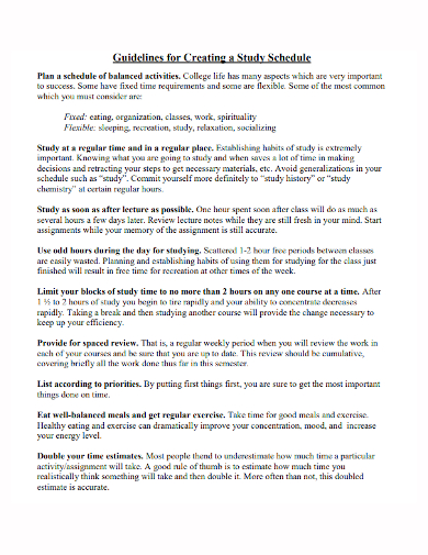 13+ Study Schedule Templates - Google Docs, Google Sheets, MS Excel, MS ...