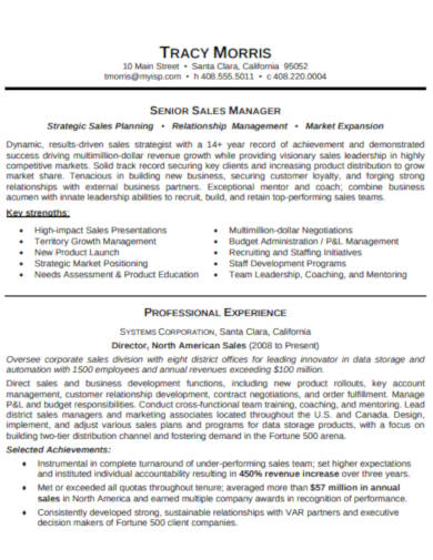 9+ Sales Manager Resume Templates - PDF, Word, AI, InDesign, PSD, Publisher