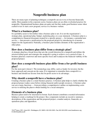 11 Nonprofit Business Plan Templates In Google Docs Word Pages PDF