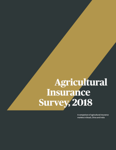 17+ Insurance Survey Templates in PDF | DOC | XLS