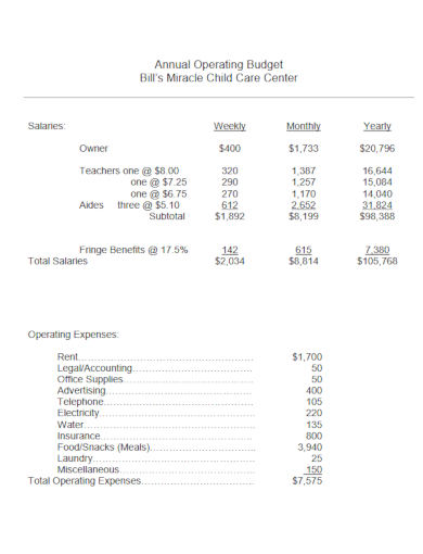 10 Day Care Budget Templates PDF