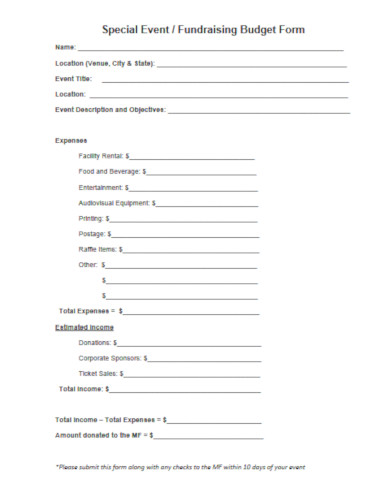 13+ Fundraising Budget Templates - PDF, Word