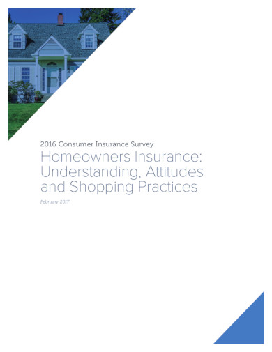 17+ Insurance Survey Templates in PDF | DOC | XLS