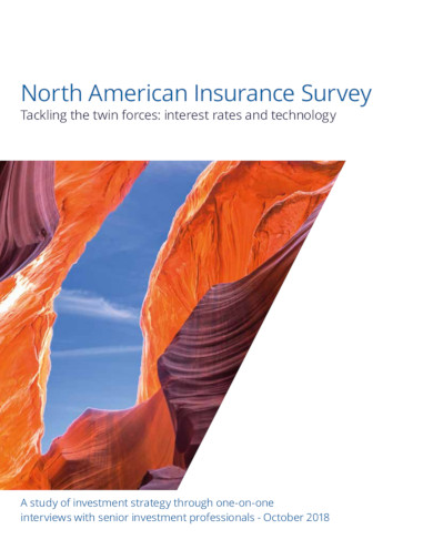 17+ Insurance Survey Templates in PDF | DOC | XLS