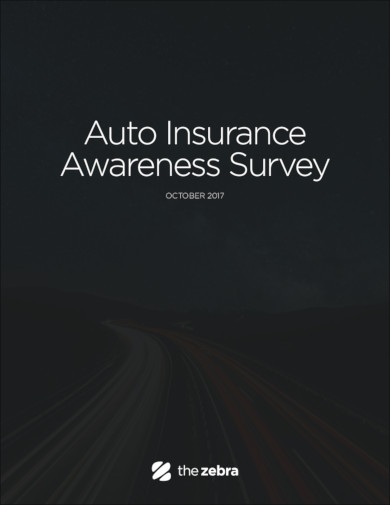17+ Insurance Survey Templates in PDF | DOC | XLS