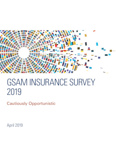 17+ Insurance Survey Templates in PDF | DOC | XLS