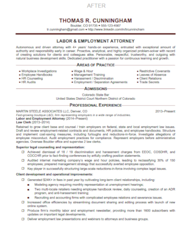 9+ Legal Resume Templates - Word, Pages, DOCX, PDF