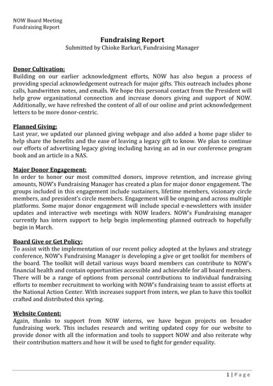 Fundraising Report Template
