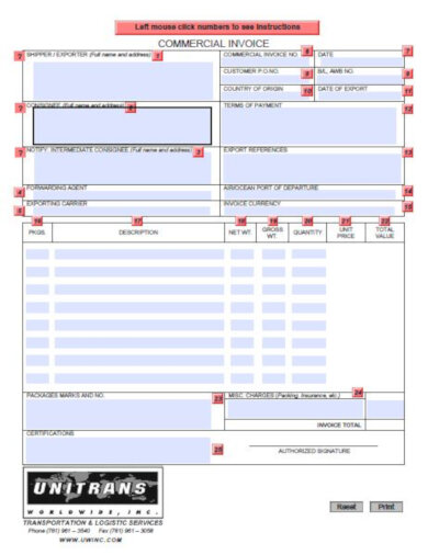 10+ Export Invoice Templates - AI, Excel, Word, Numbers, Pages