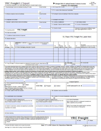 10+ Export Invoice Templates - AI, Excel, Word, Numbers, Pages