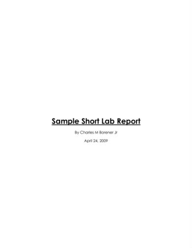 7+ Physics Lab Report Templates - MS Word, Google Docs, Pages, PDF