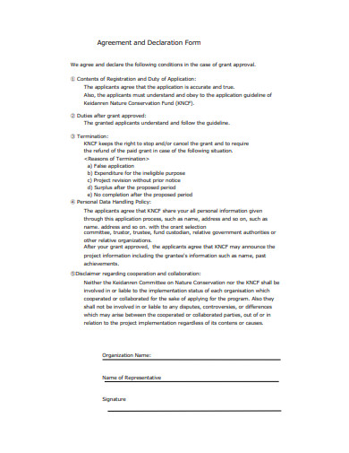 16+ Declaration Agreement Templates - PDF