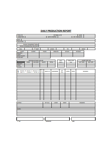 10+ Production Daily Report Templates in Word | Google Docs | Apple ...