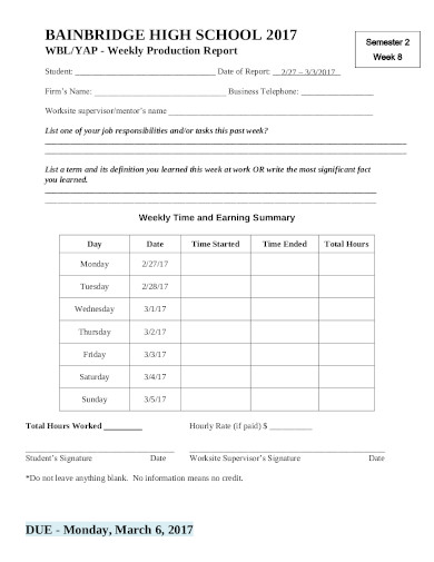 8+ Weekly Production Report Templates - PDF, DOC