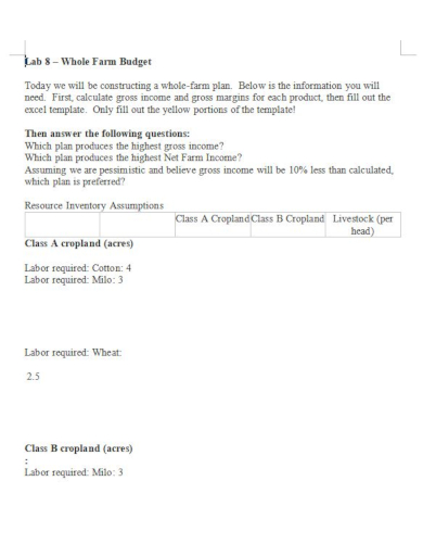 12 Farm Budget Templates PDF DOC 12 Farm Budget Templates PDF DOC