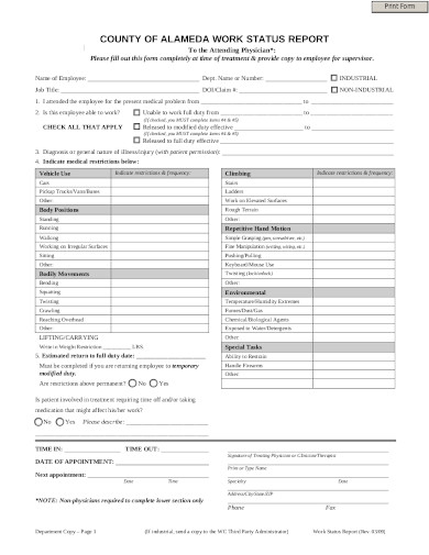 8+ Work Status Report Templates - PDF, DOC