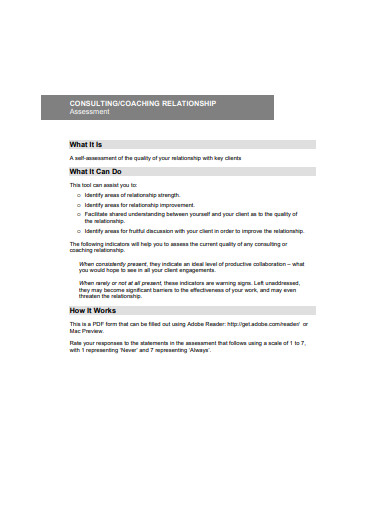 10+ Consulting Assessment Templates in PDF