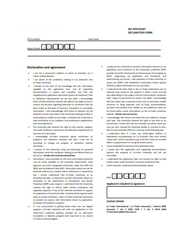 16+ Declaration Agreement Templates - PDF