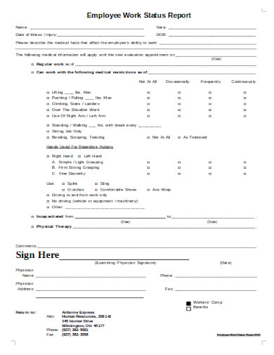 8+ Work Status Report Templates - PDF, DOC
